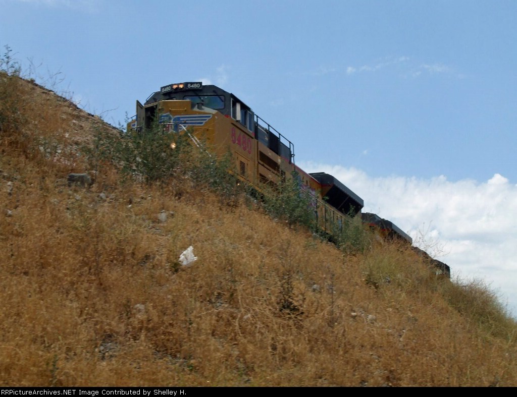 UP 8480 leading the train